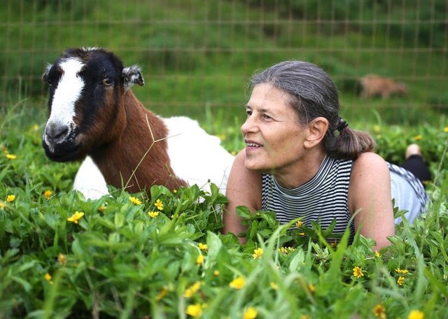 Board Members — Leilani Farm Sanctuary