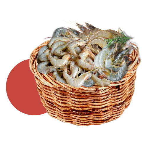 Baltimore Crab and Seafood — Harford Seafood Market