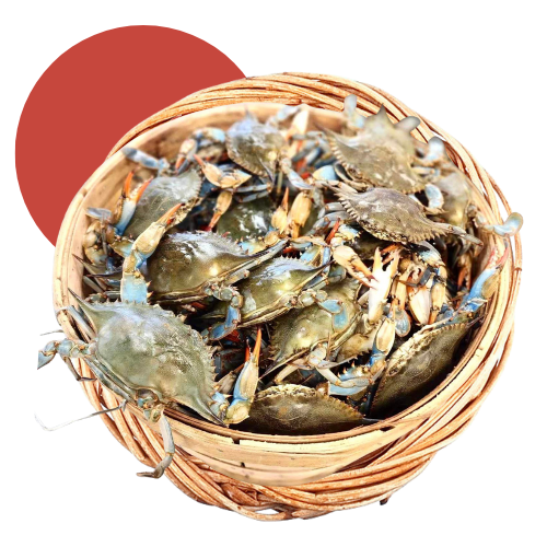 Baltimore Crab and Seafood — Harford Seafood Market