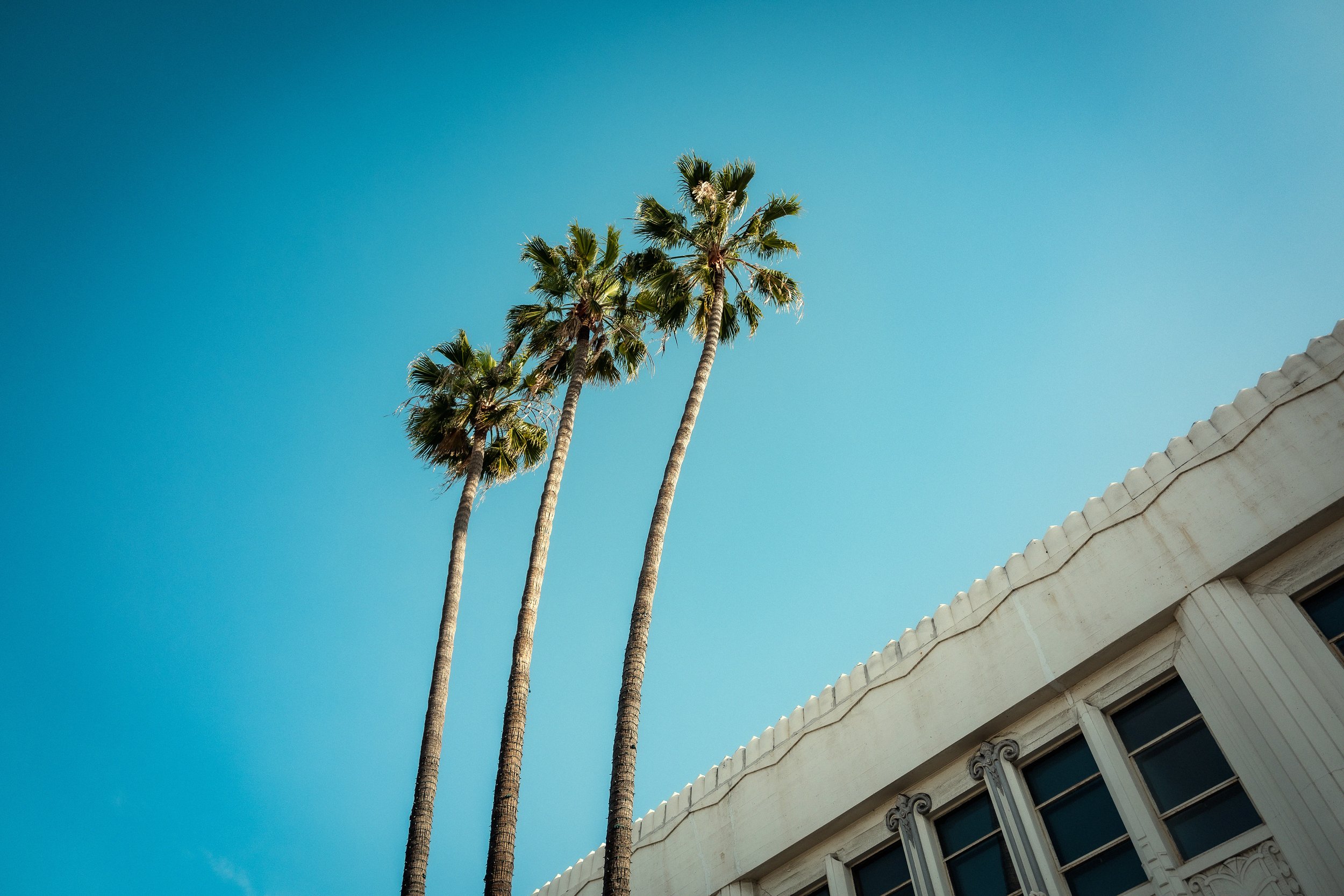 Thomas Scheck Photography - Fotograf mit Fotostudio in Weiden