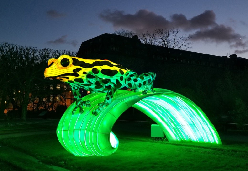 Glowing Wild