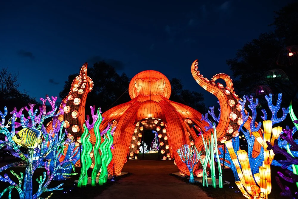 FAQ — Glowing Wild Lantern Festival