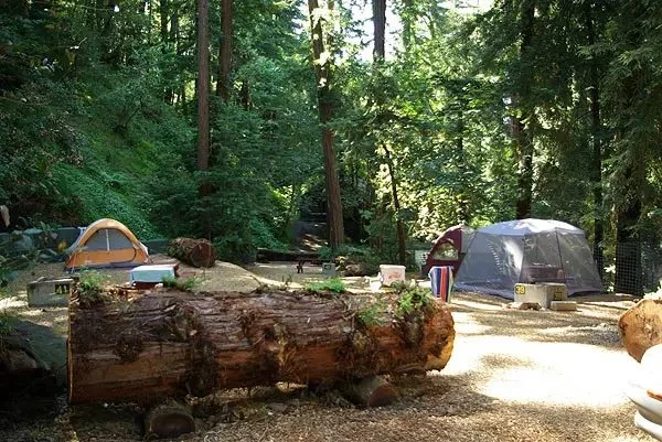 RV Camping Sites in Big Sur — Riverside Campground & Cabins