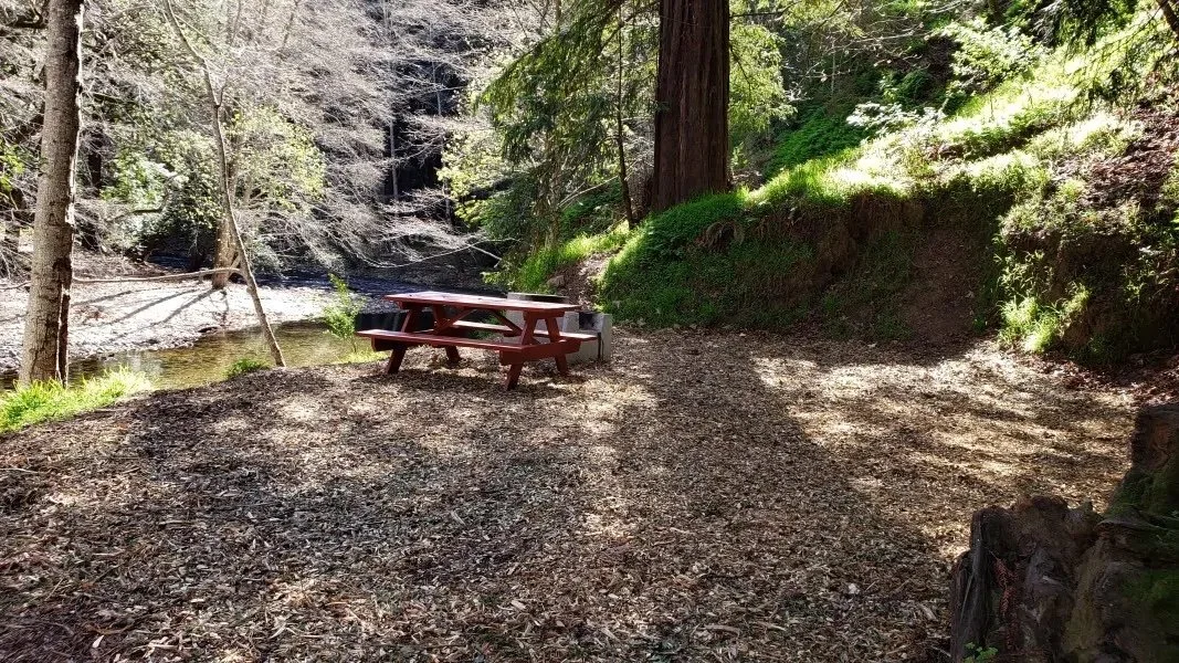 RV Camping Sites in Big Sur — Riverside Campground & Cabins