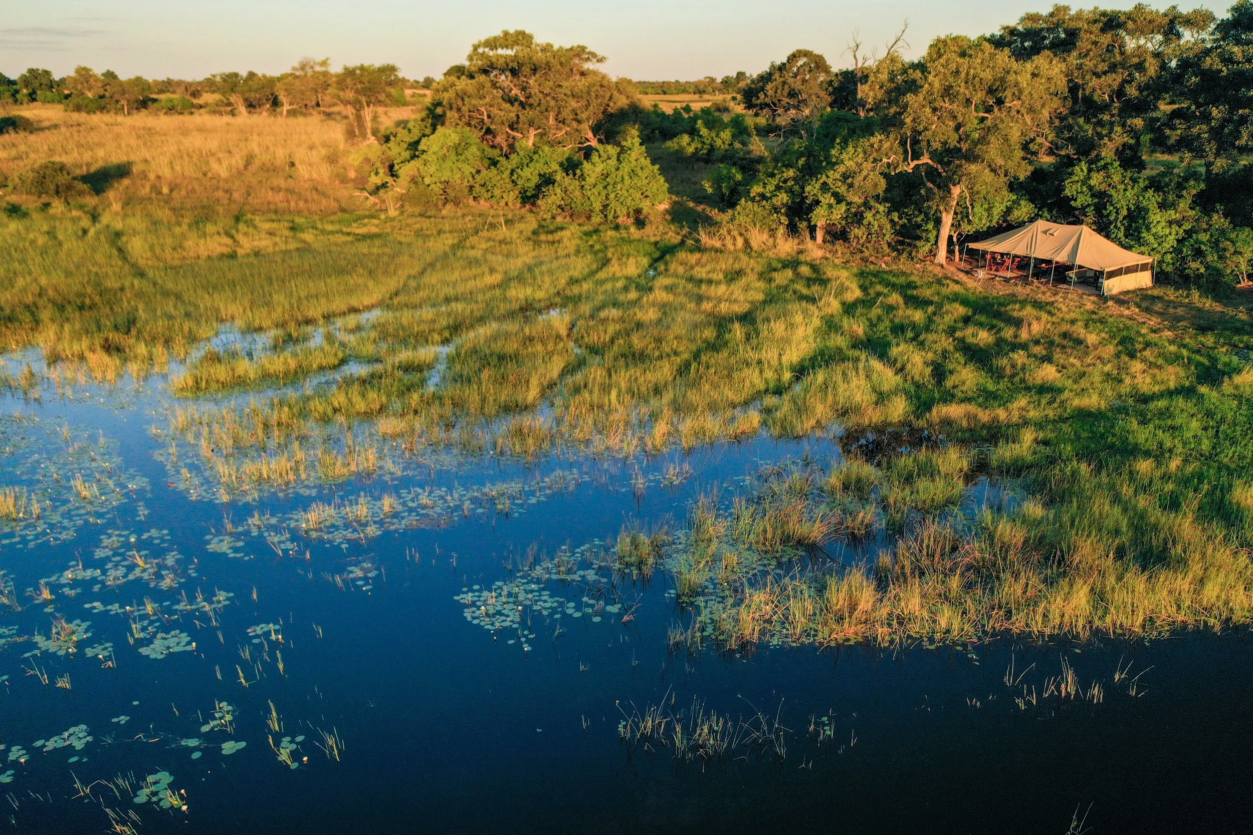 Okavango Origins