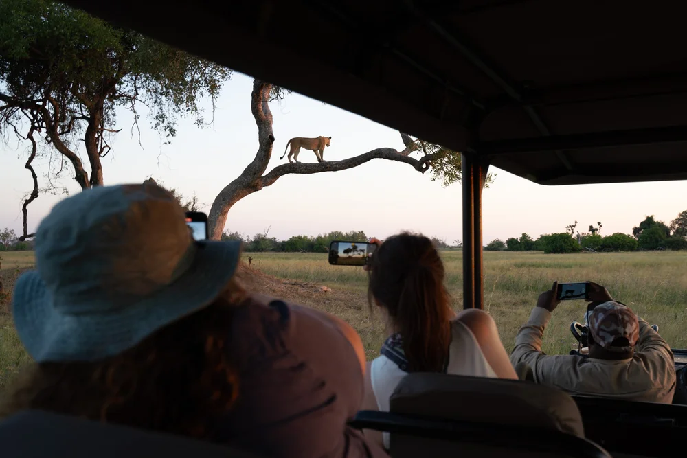 Okavango Origins | Discover & Connect Today