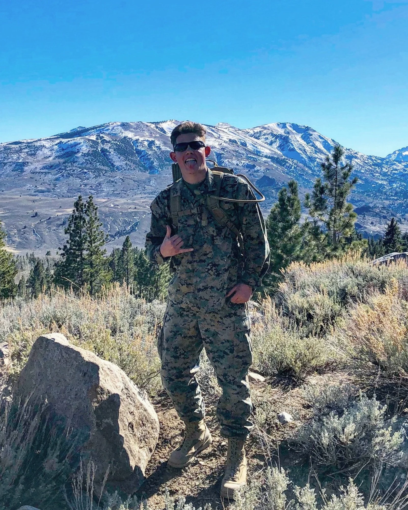 Stephen D. Willett & Associates