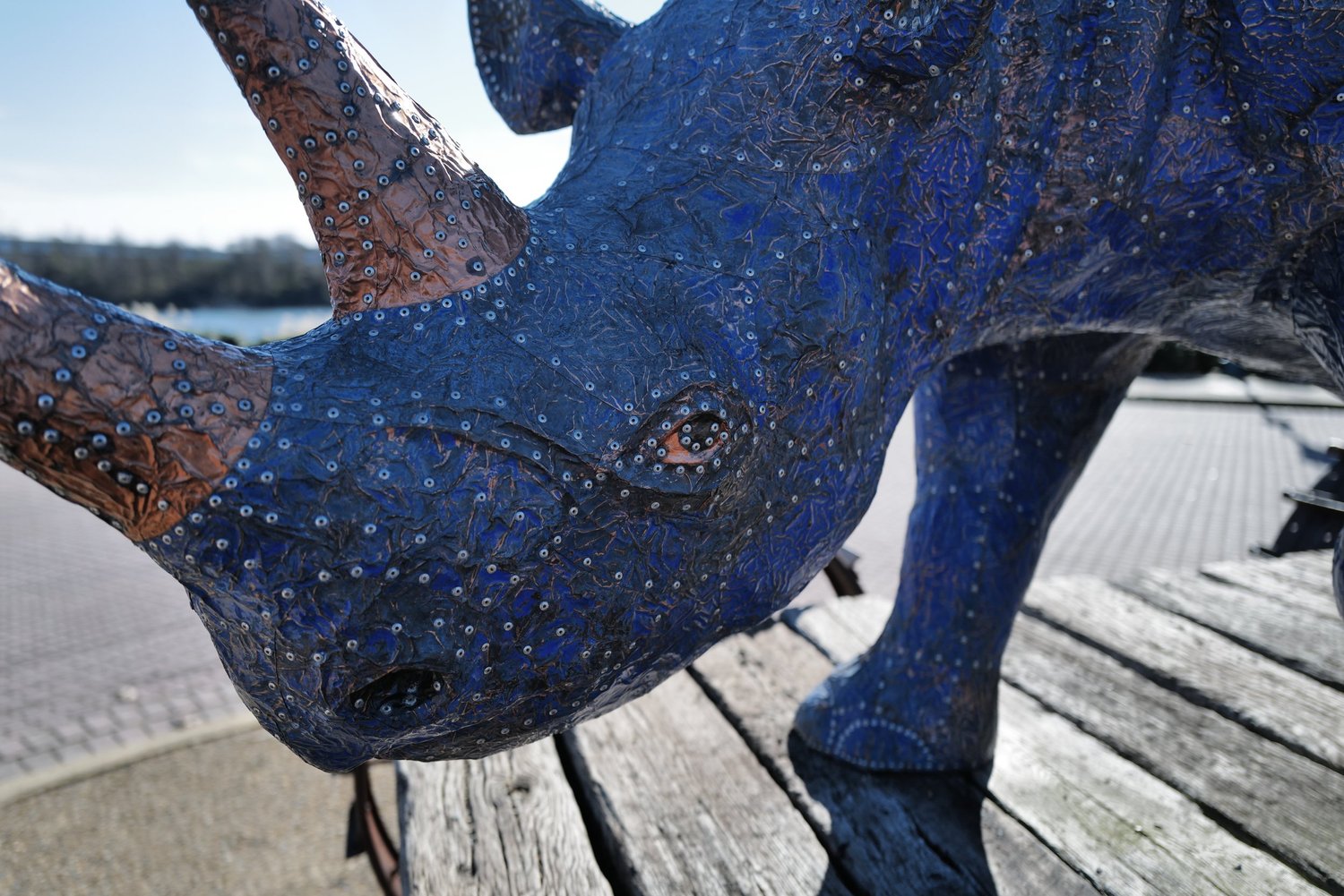 Blue Rhino — Sidney D Huval