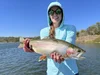 Guided Fly Fishing Redding Ca — 530 OUTFITTERS