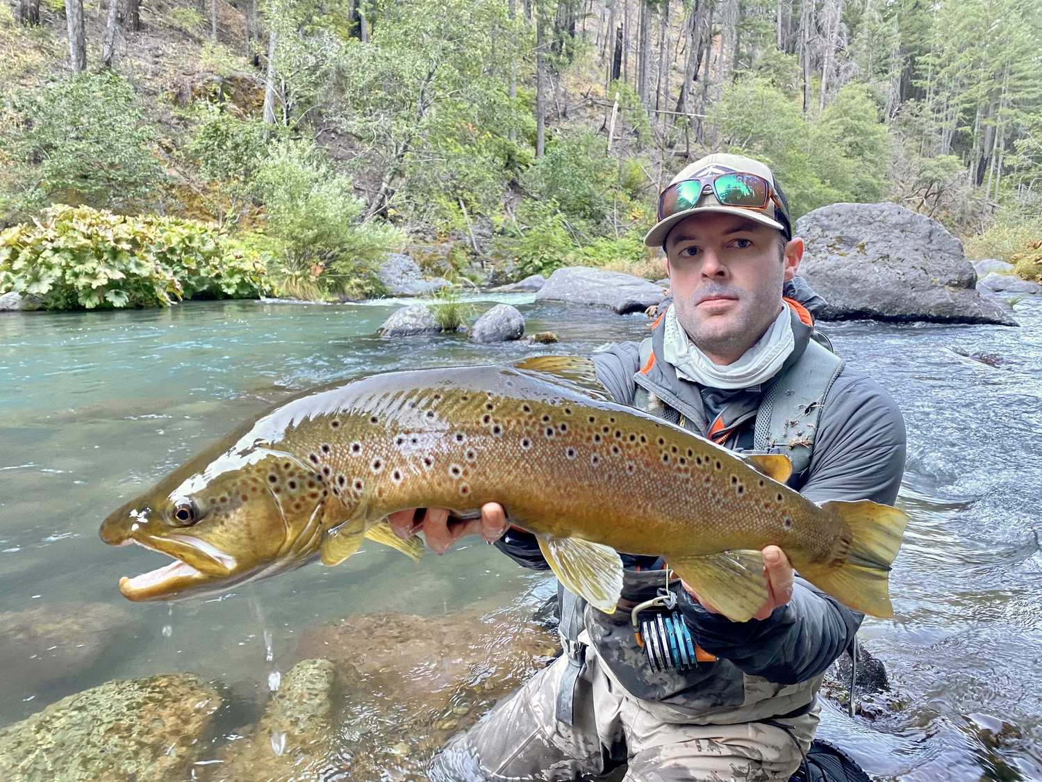 Guided Fly Fishing Redding Ca — 530 OUTFITTERS