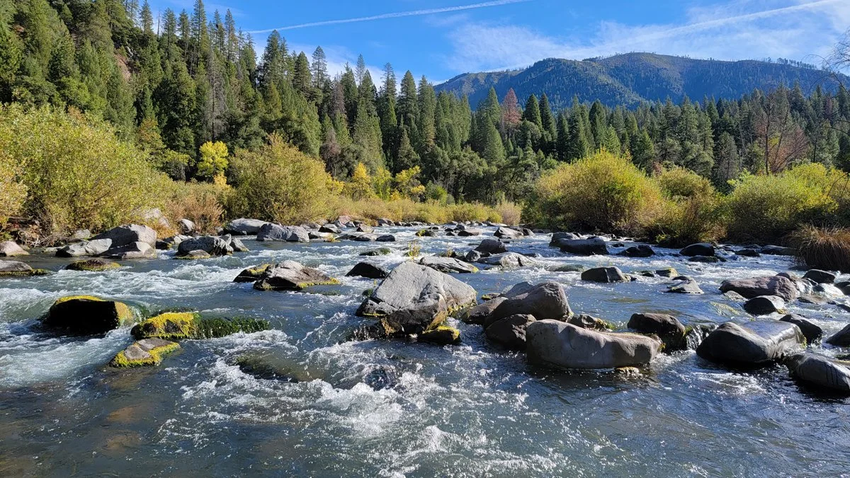 Guided Fly Fishing Redding Ca — 530 OUTFITTERS