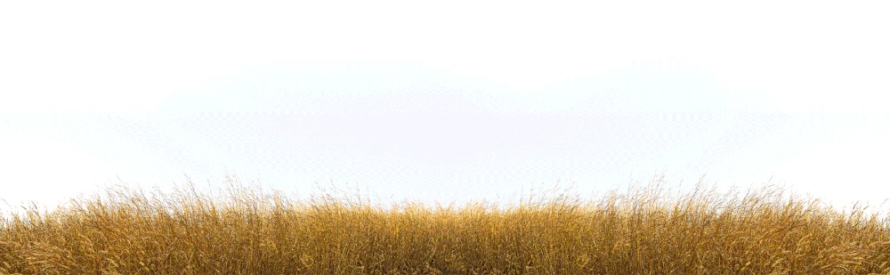 The Legendairy Dietitian