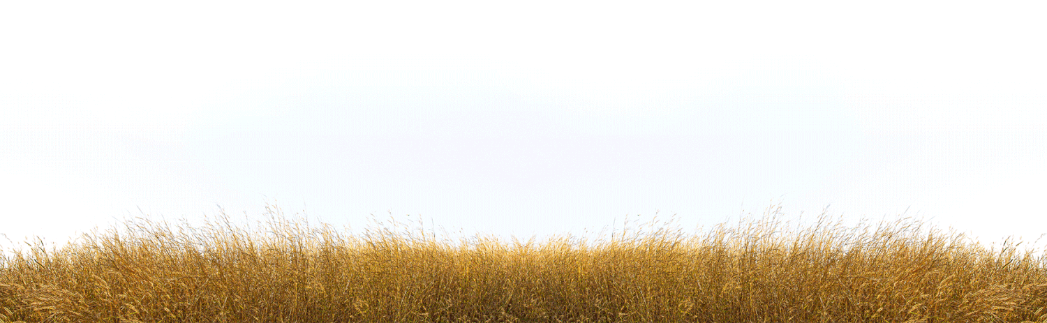 The Legendairy Dietitian