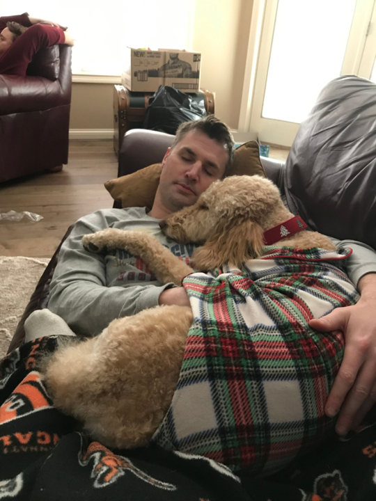 Meet Ty's Golden Retrievers - Ty Hogan — Vote Hogan