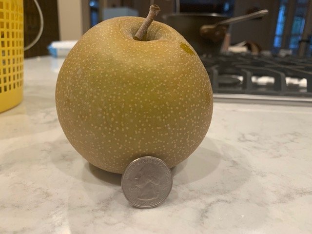 Asian Pear Trees — Nurtured By Nature Growers