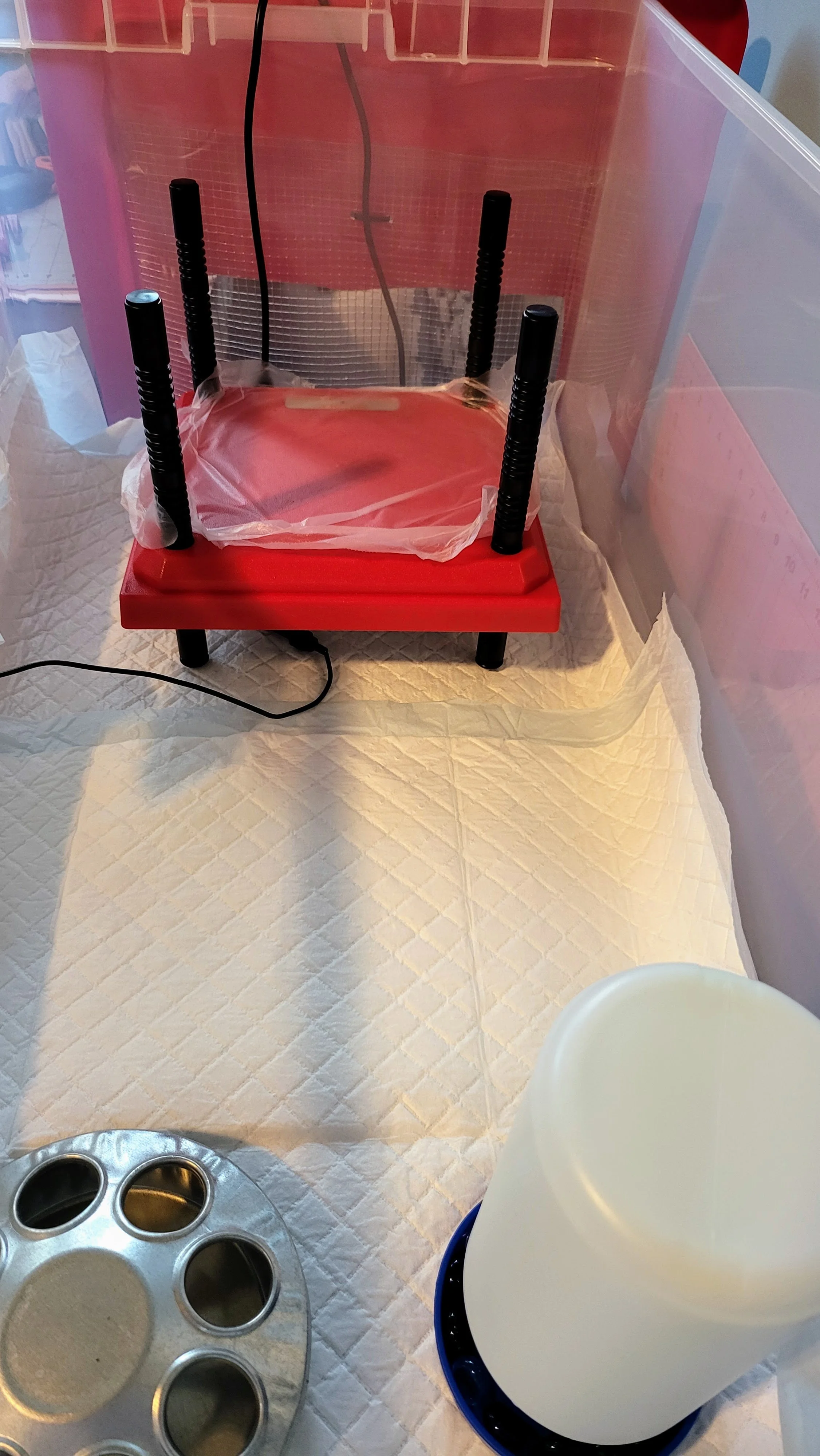 Quail Brooder Guide — Grown On a Hill