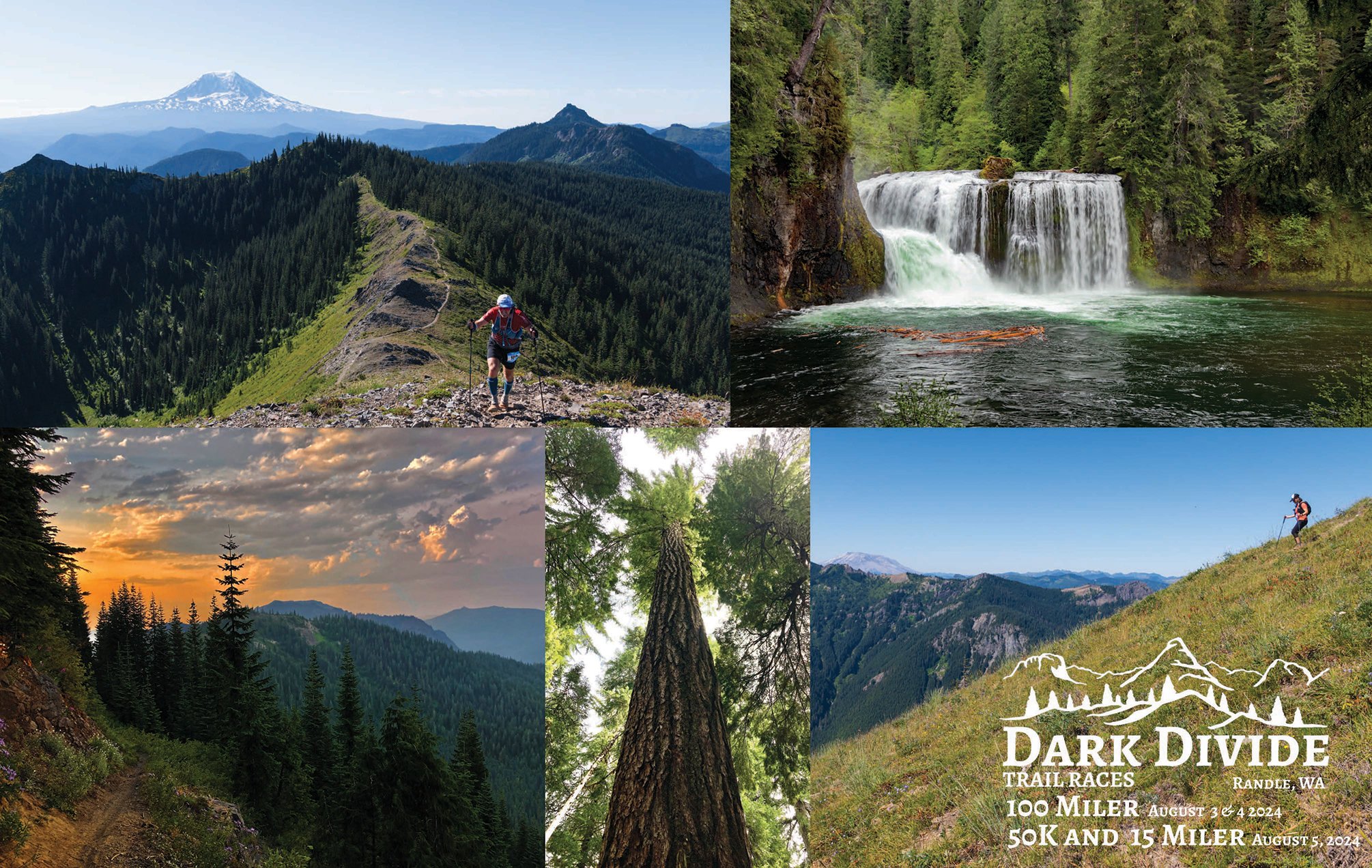 Dark Divide Trail Races — Wonderland Running