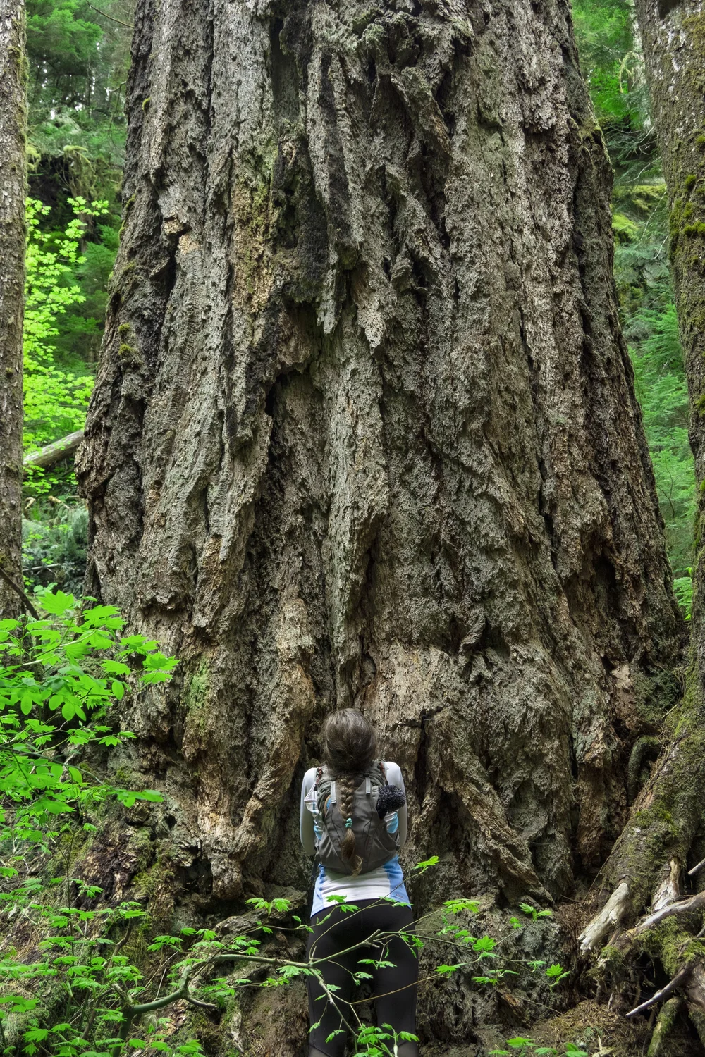 Dark Divide 100 Miler — Wonderland Running
