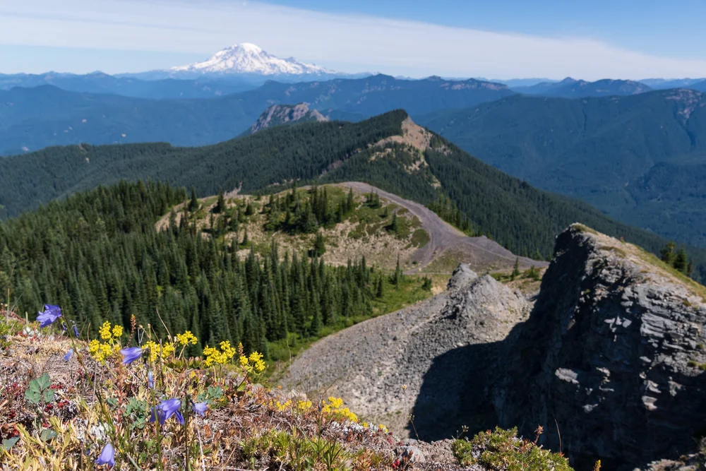 Dark Divide 50K Kilometer — Wonderland Running