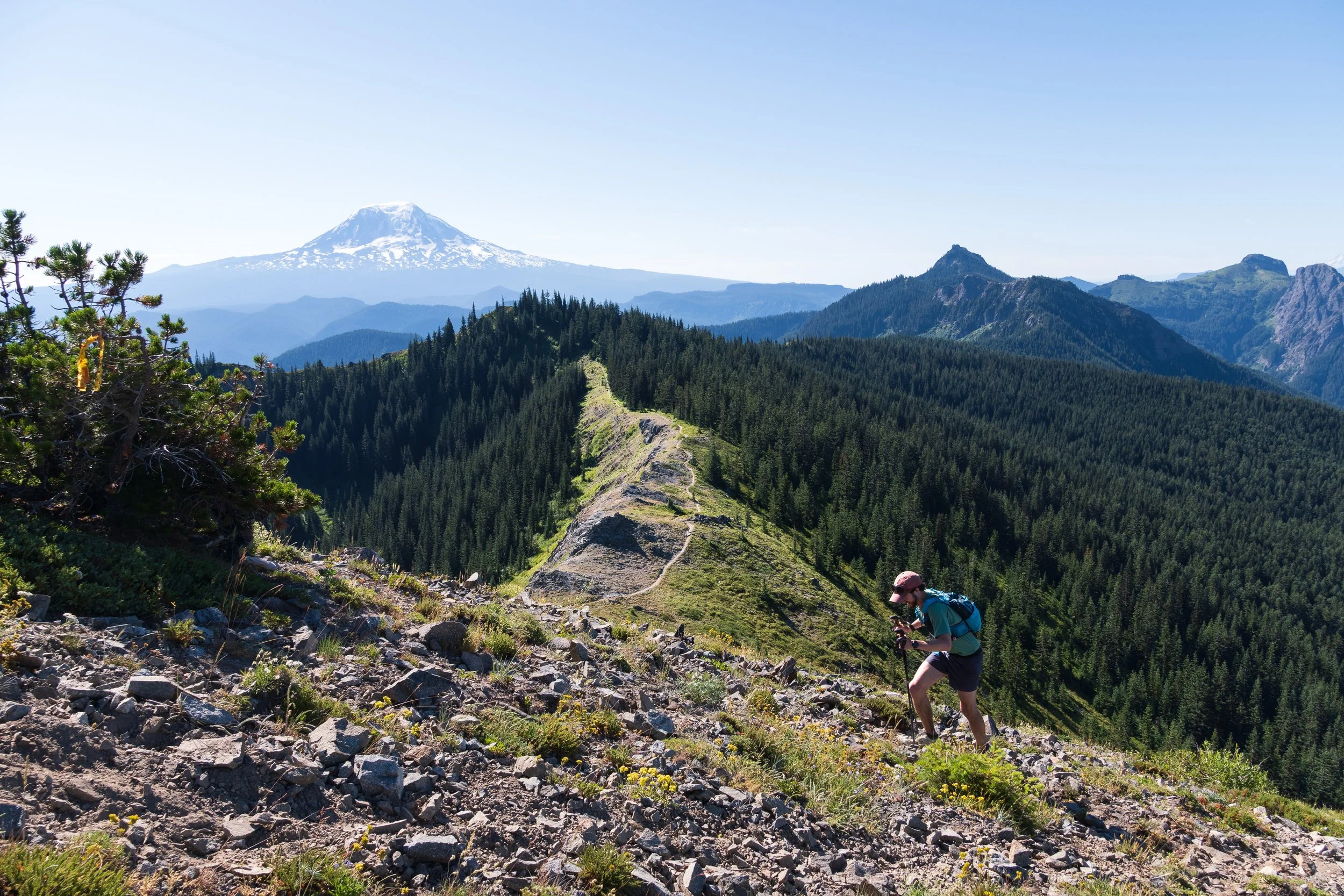 Dark Divide Trail Races — Wonderland Running