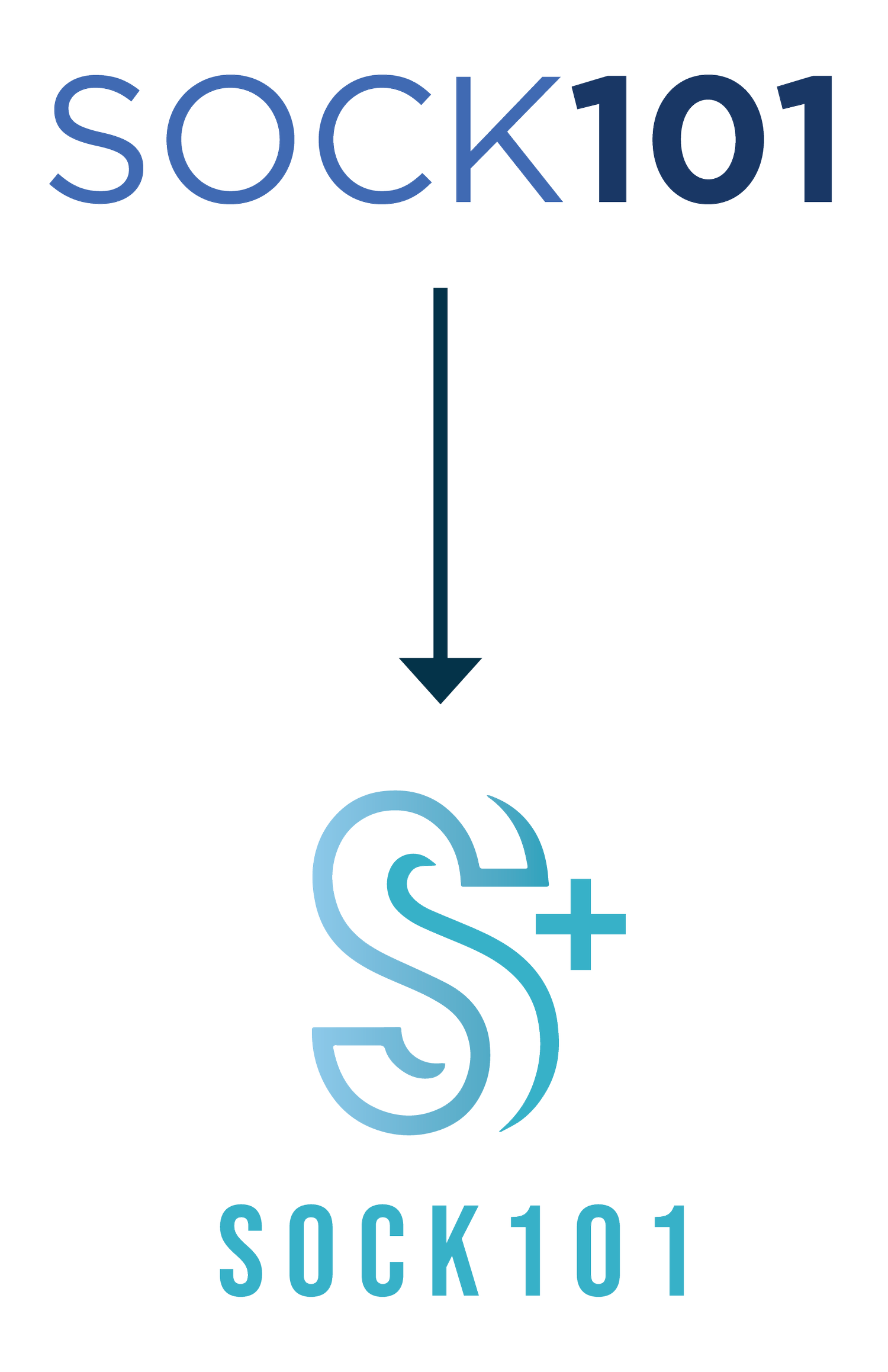 Services 1 — Sock101+