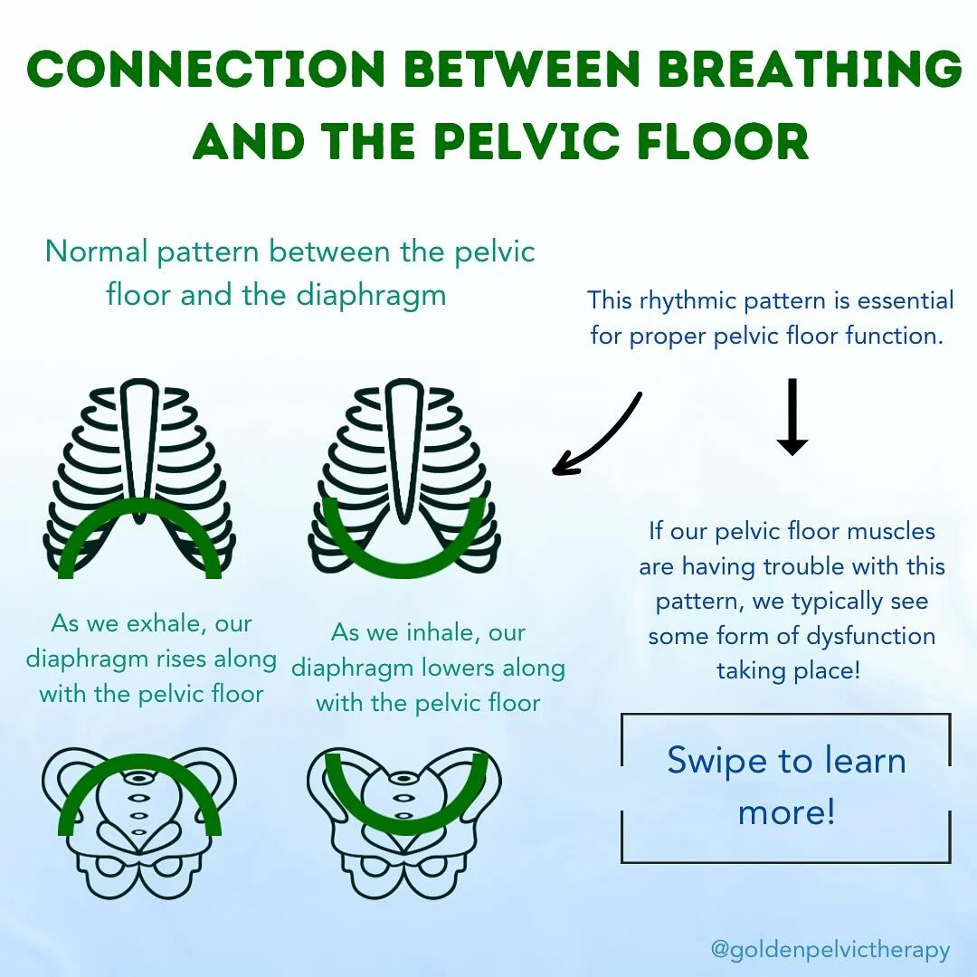 About Dr. Jessica Golden — Golden Pelvic Physical Therapy, LLC.