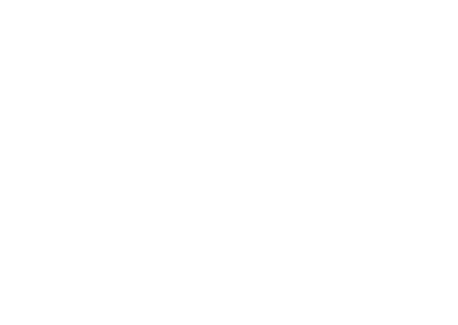 Mission and Vision — Flint Global