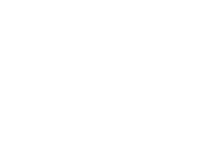 Mission and Vision — Flint Global