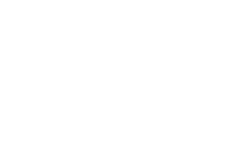 Mission and Vision — Flint Global