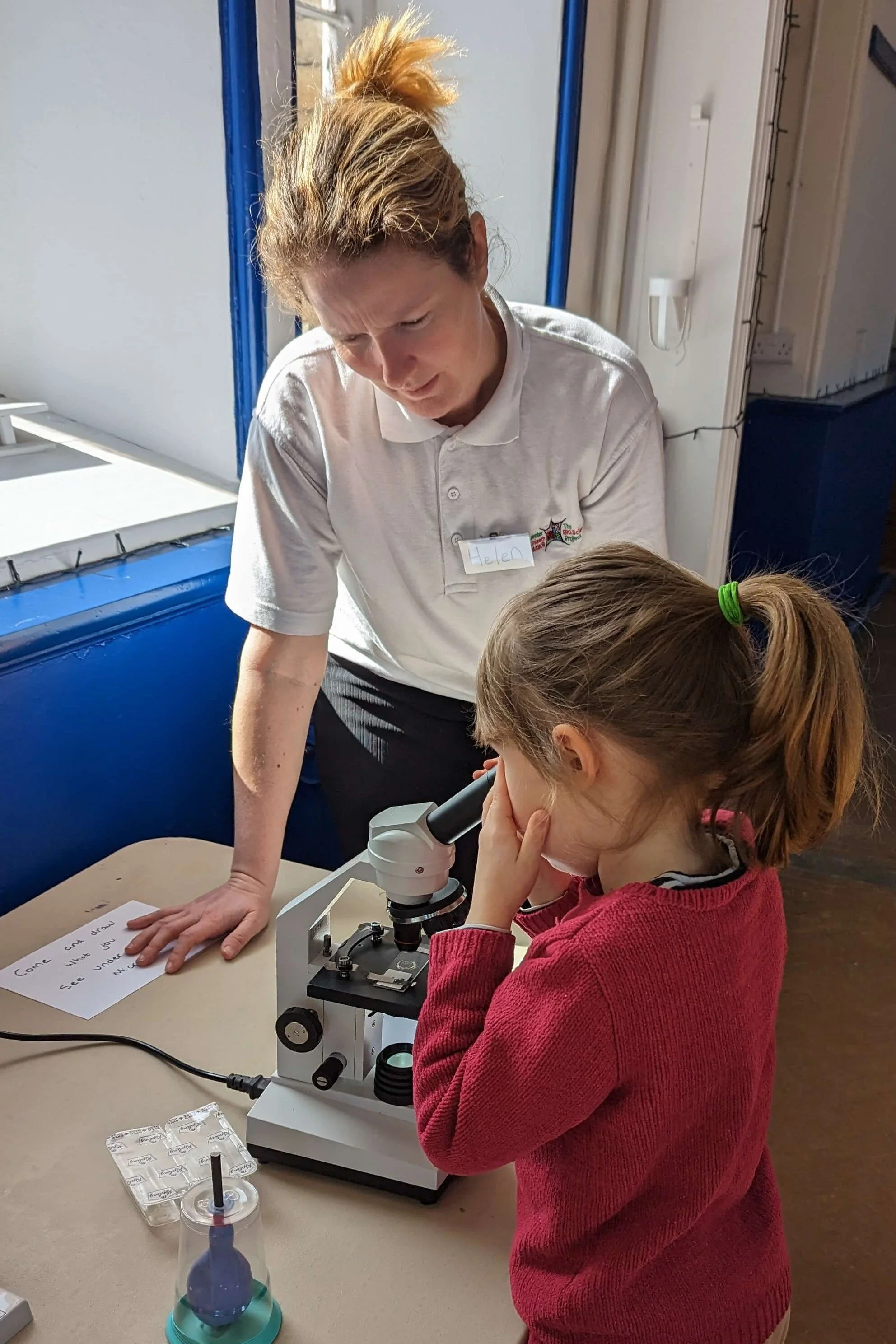 Science Activities For Primary Students