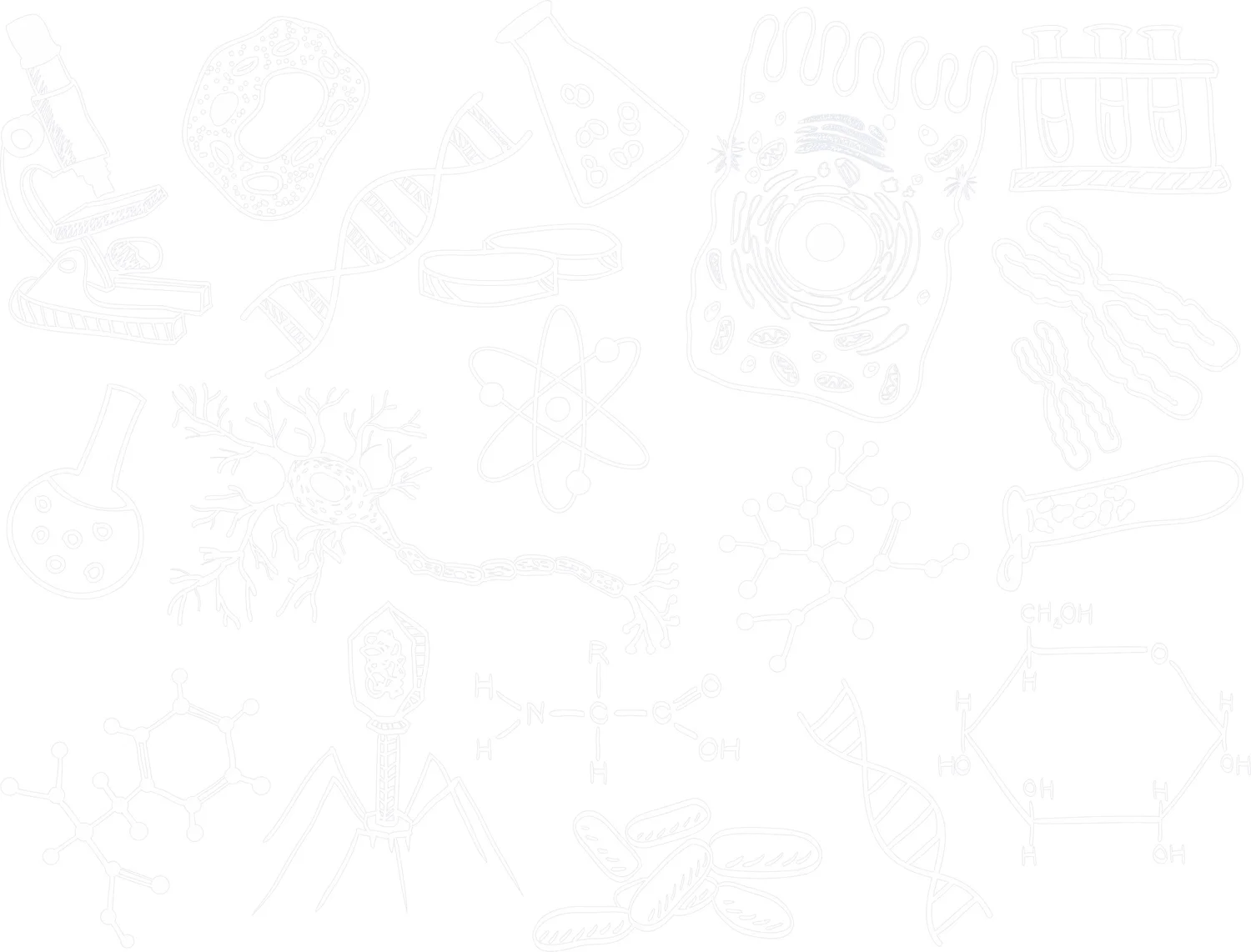 Extracurricular Activities Wales, Fun Science Lesson Plans