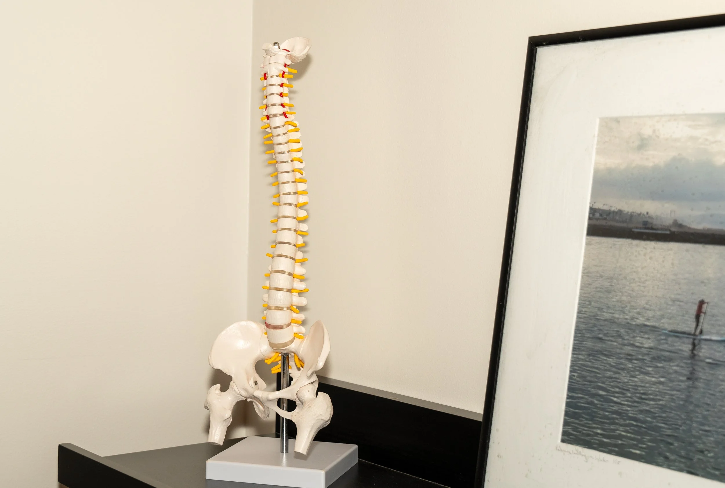 morgan petro physical therapy