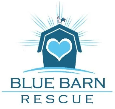 Blue Barn