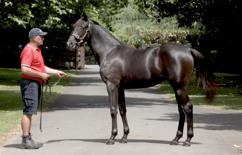 Purchases — Lisa Latta Racing