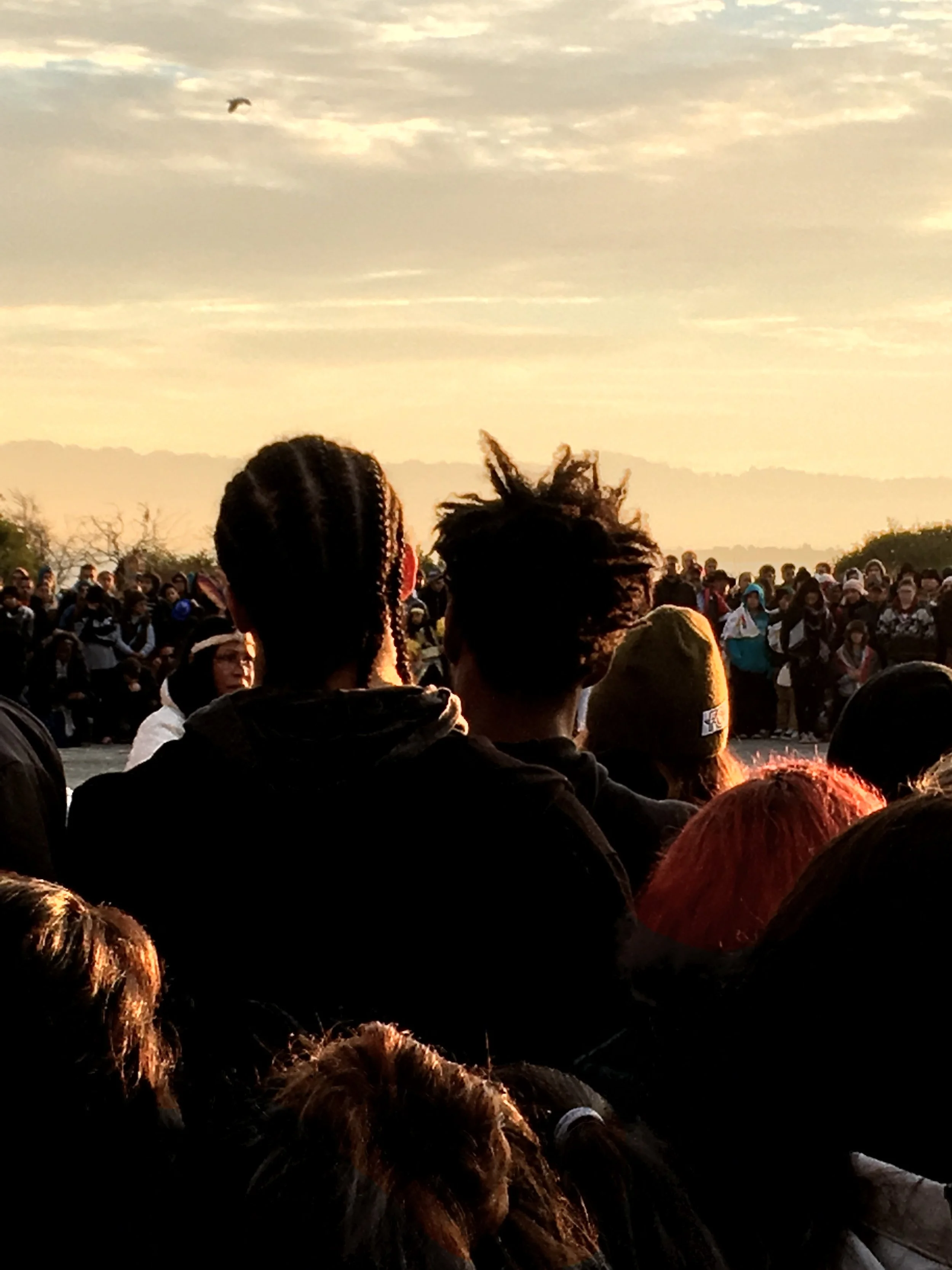 MalloryGastonFoundation