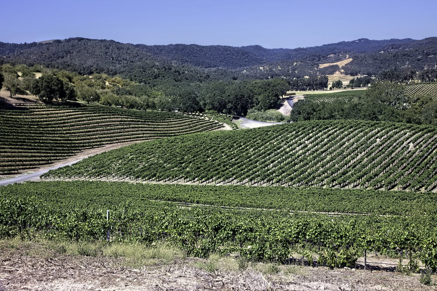 Our Team — Columbia Gorge Defenders