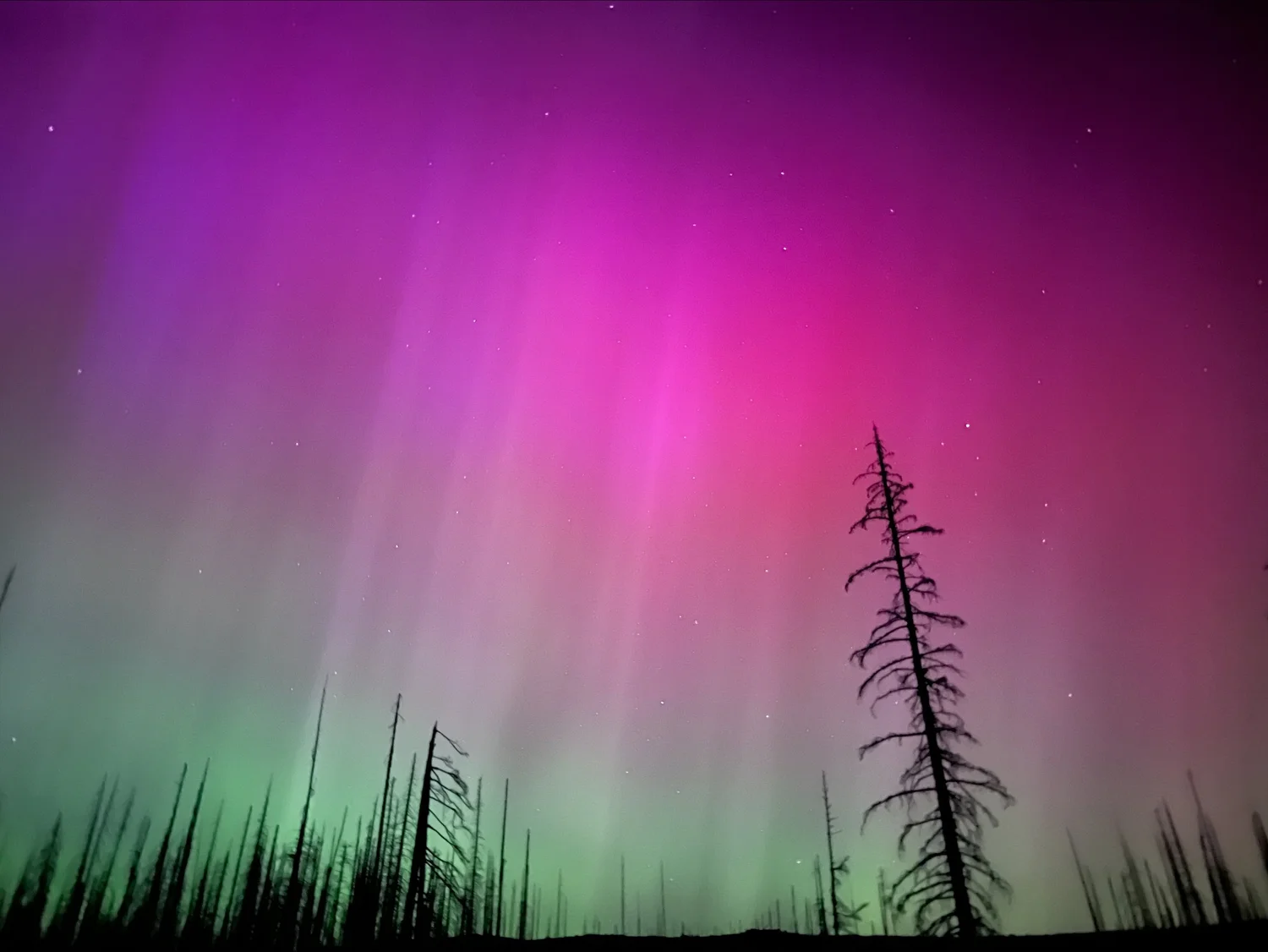 Our Team — Columbia Gorge Defenders