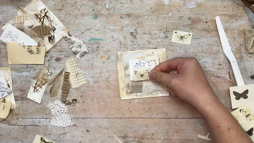 Naturalist Collage - Mixed media collage online art class