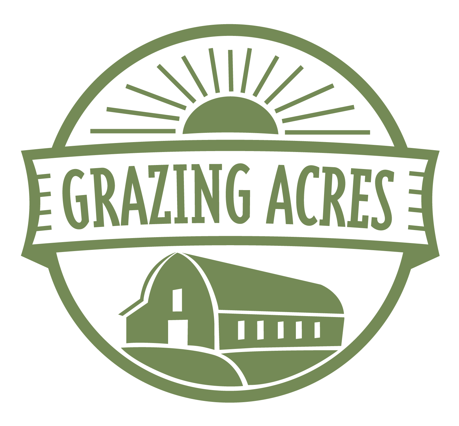 Highland Cows in Rural Alberta