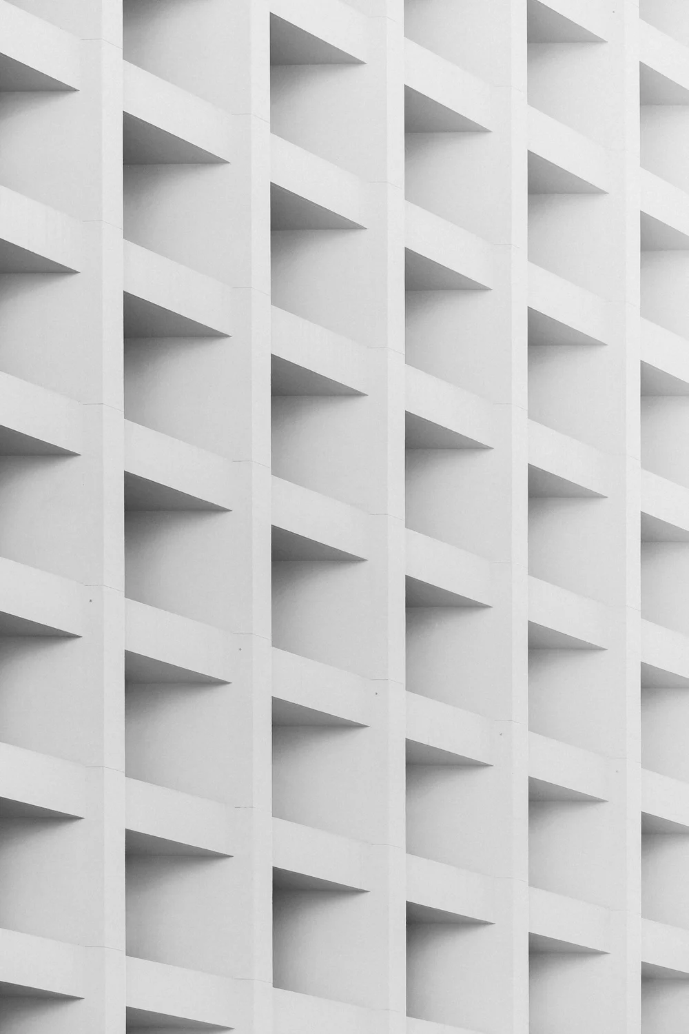 About Us — NEXT Investors