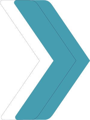 Investment Focus — NEXT Investors