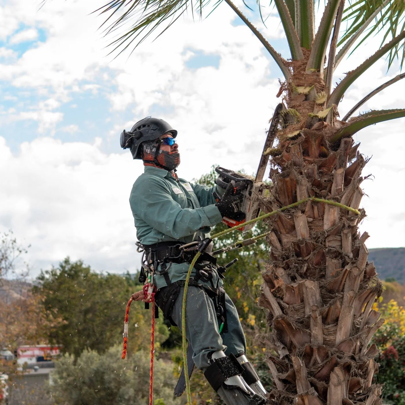 Services — Emma Tree Service