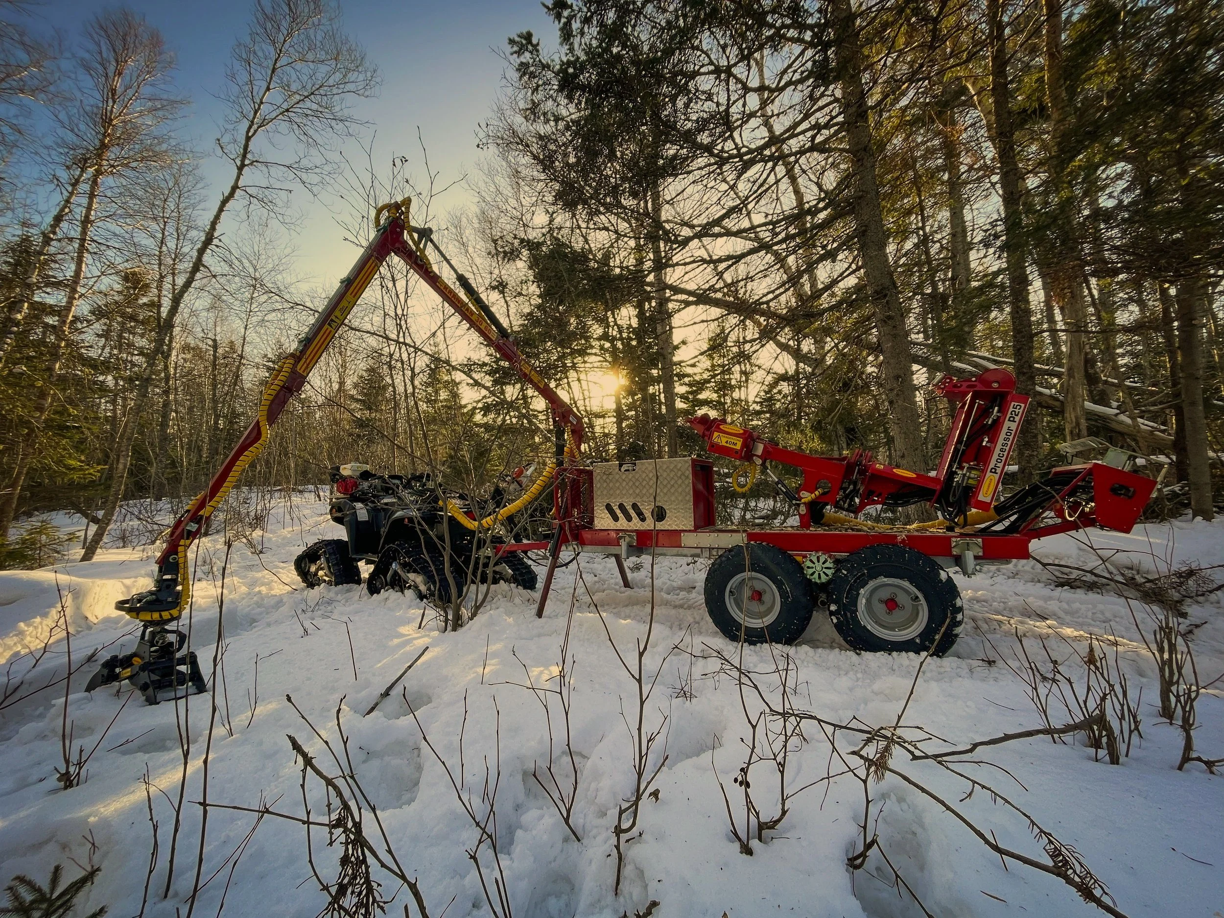 PEI Tree Removal, Trimming, Planting: Twin Pines Tree Service