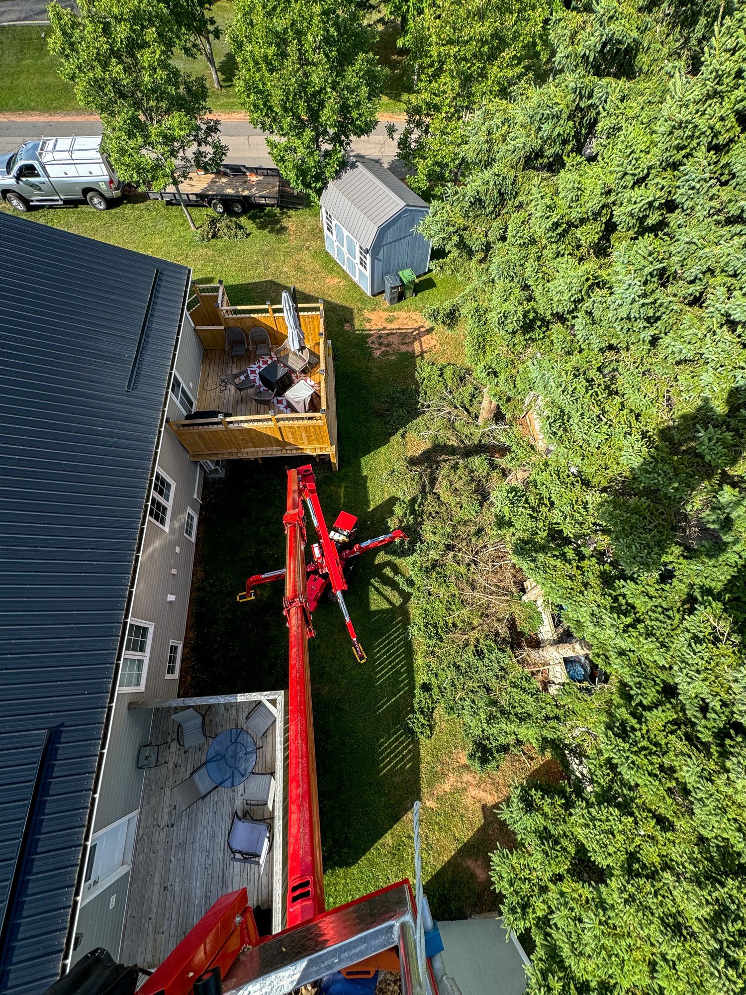 PEI Tree Removal, Trimming, Planting: Twin Pines Tree Service