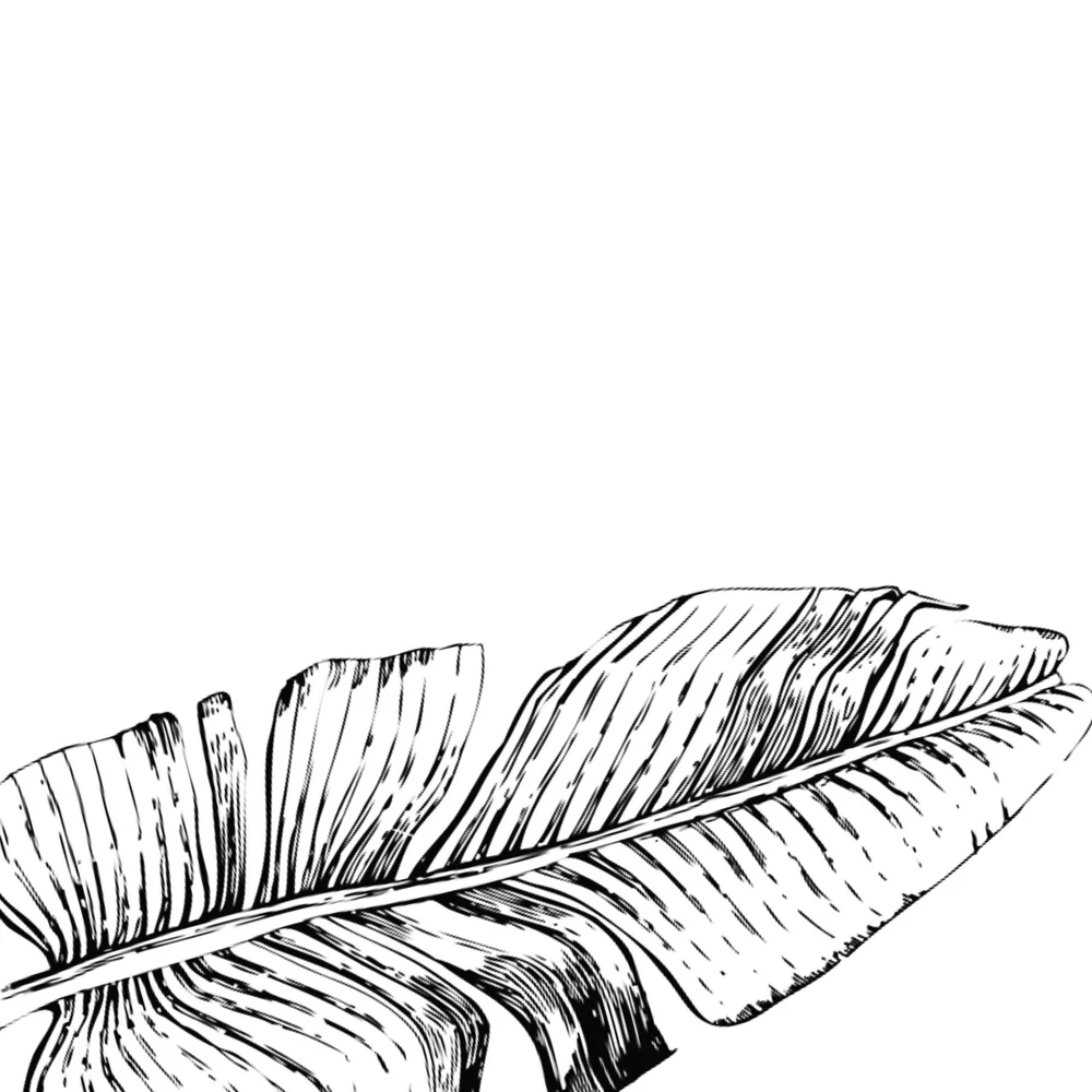 About 1 — MINASA
