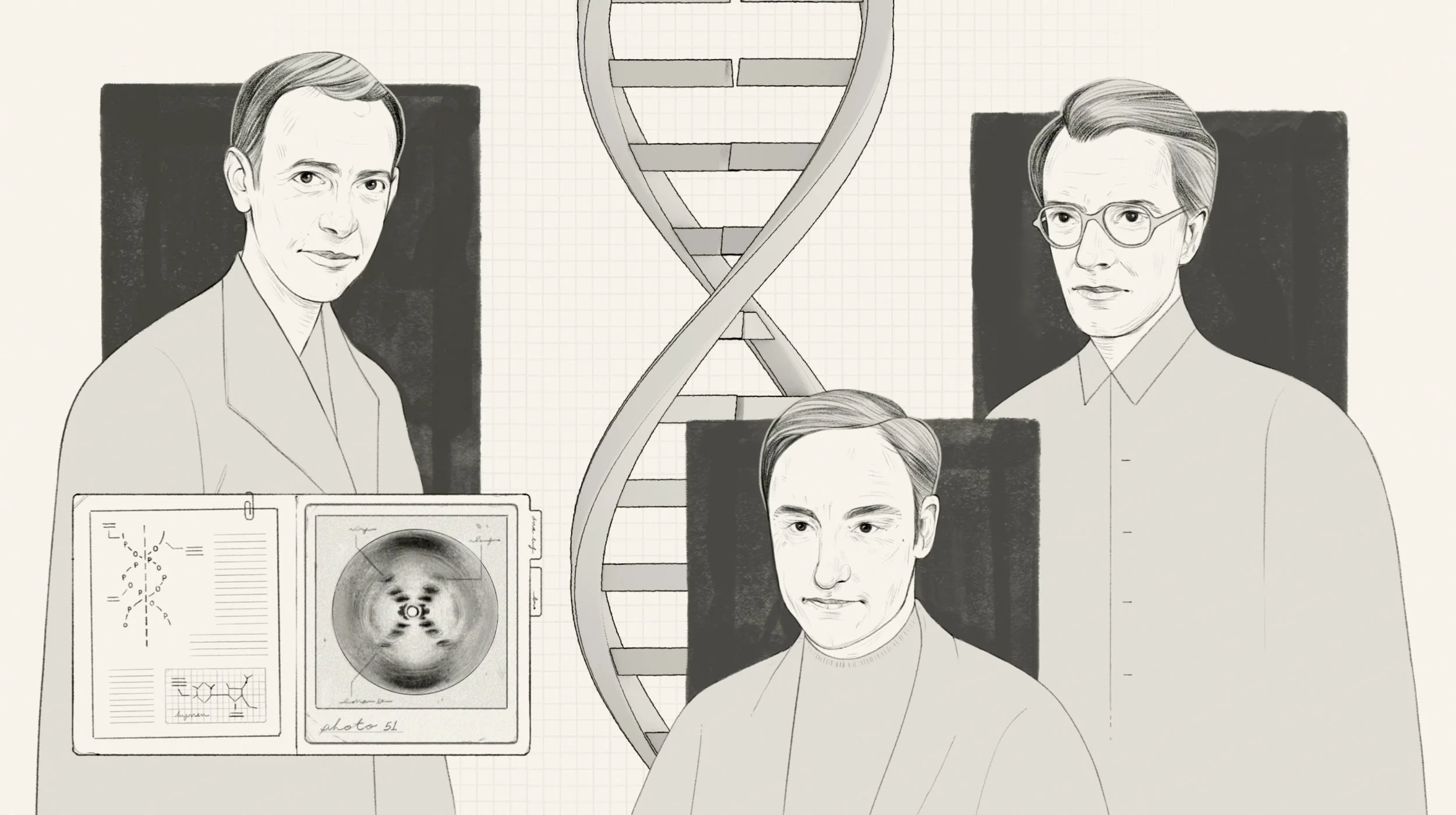 Rosalind Franklin | Pioneer of DNA Structure Discovery - Illustrated ...
