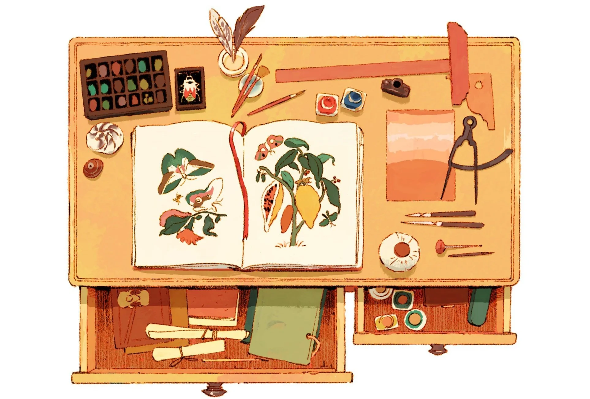 Maria Sibylla Merian | Entomology Pioneer & Scientific Illustrator ...