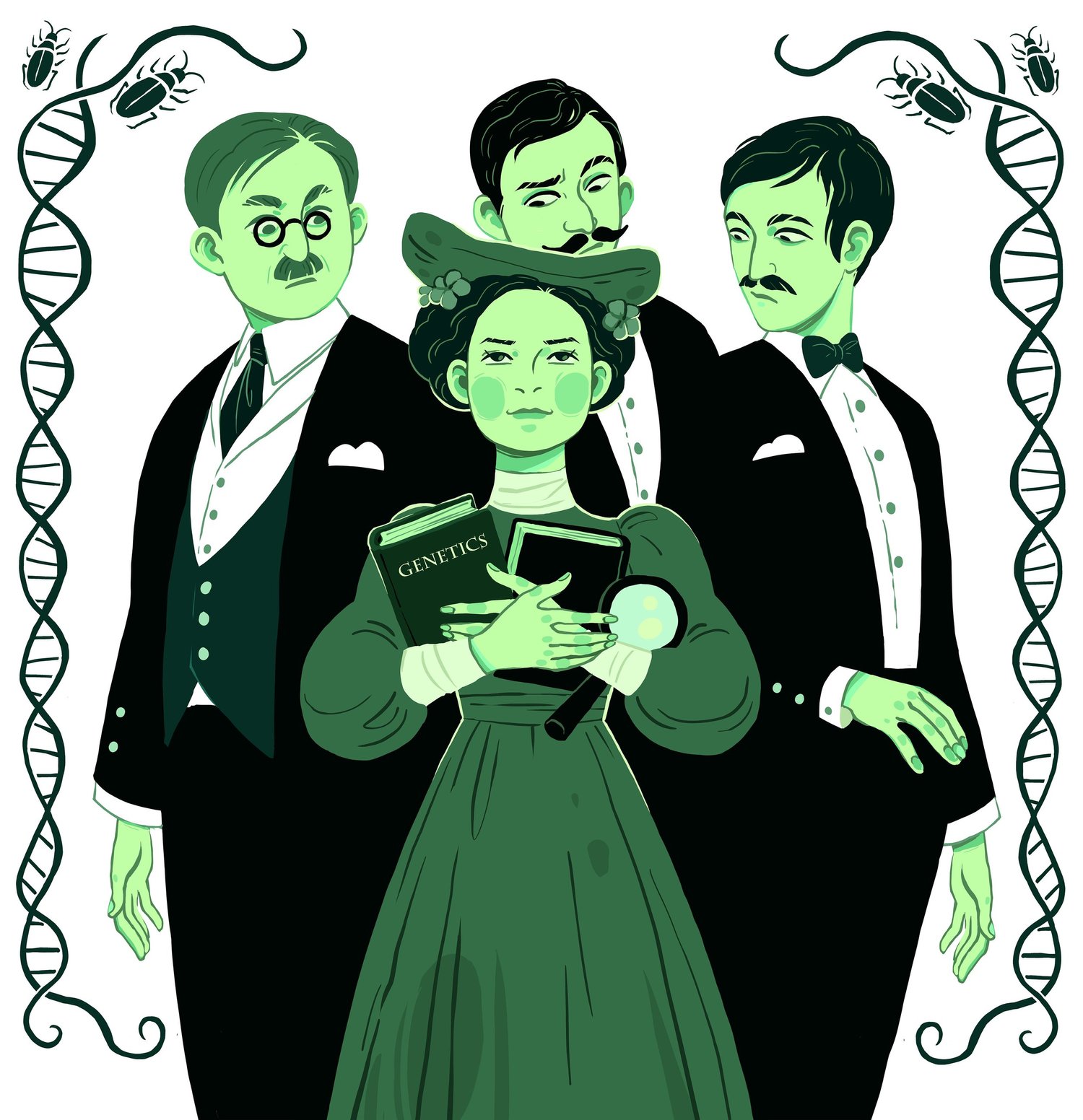 Nettie Stevens | Discoverer of Sex Chromosomes - Illustrated Story ...