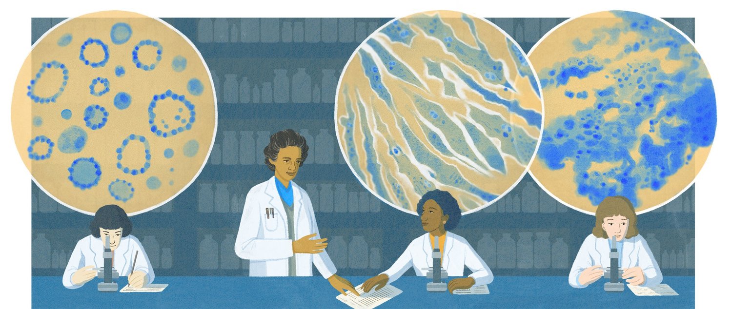 Mary Maynard Daly | First Black Woman PhD in Chemistry - Illustrated ...