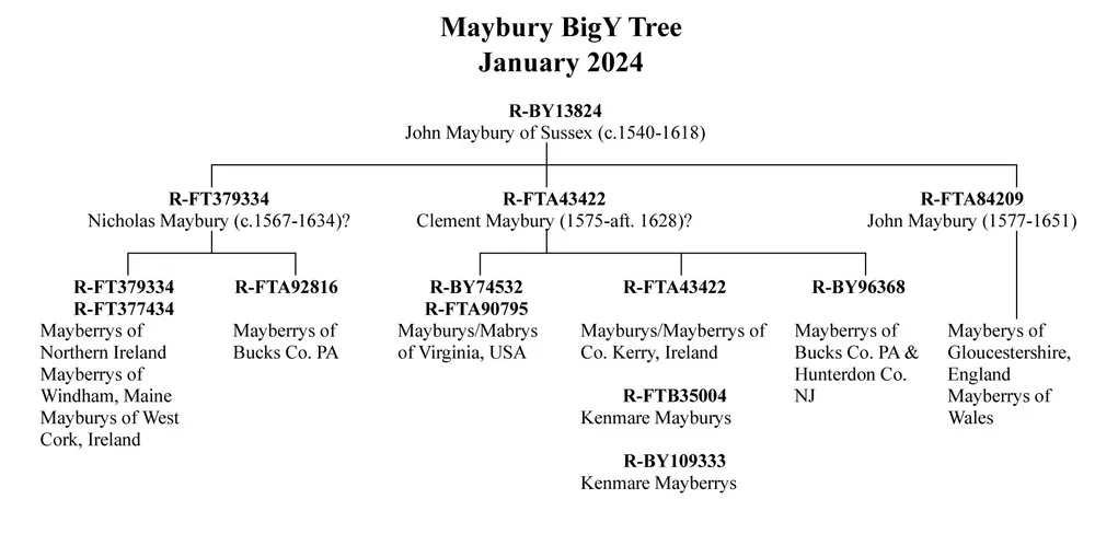 Latest DNA Project Report — The Maybury Family
